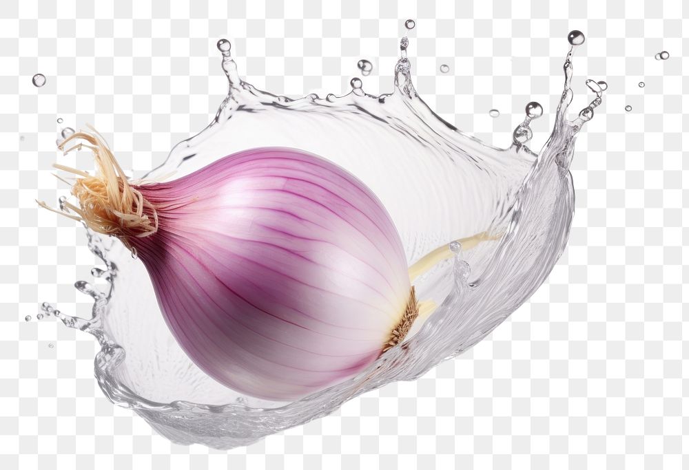 PNG White Onion splash onion | Premium PNG - rawpixel