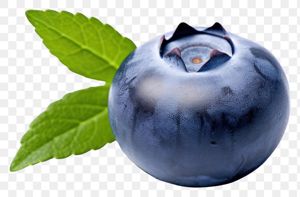 PNG Blueberry fruit plant food | Premium PNG - rawpixel