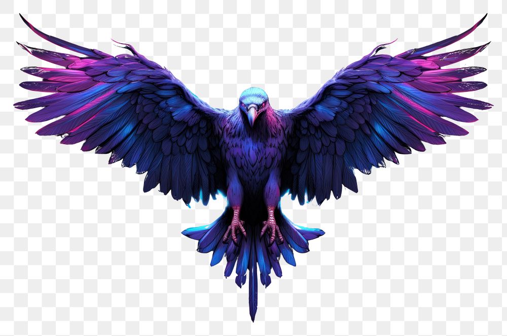 PNG Illustration flying Vulture Neon | Premium PNG - rawpixel