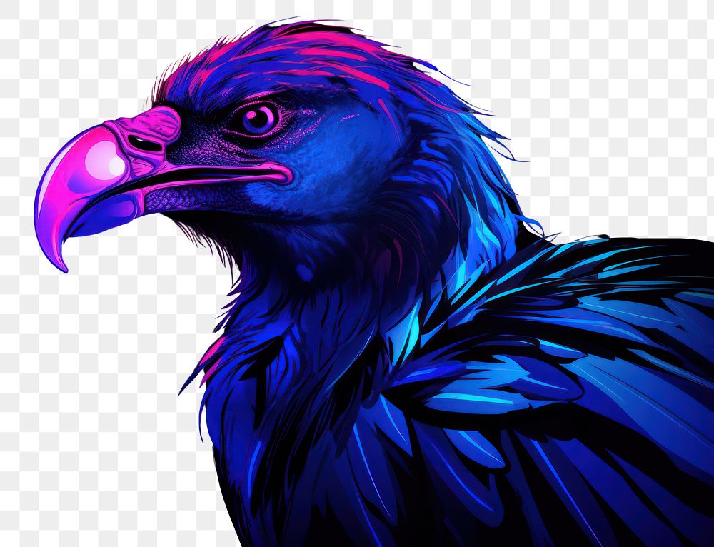 PNG Illustration Vulture neon rim | Premium PNG - rawpixel