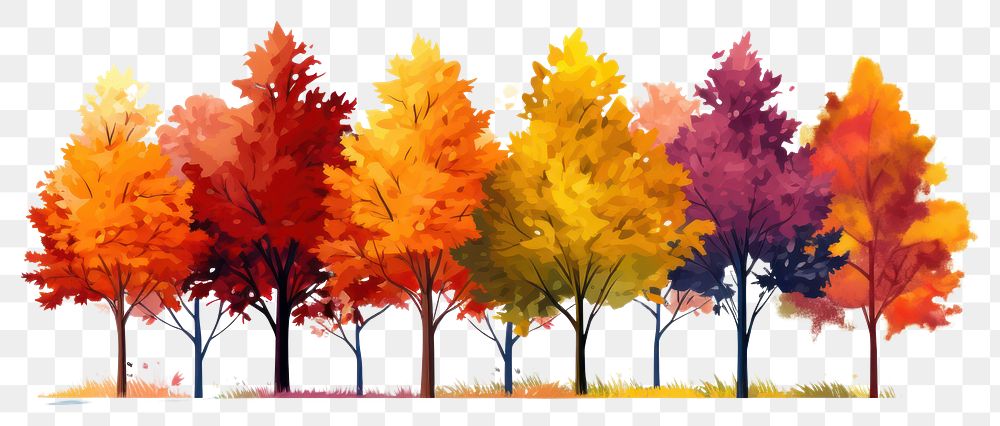 PNG Colorful autumn trees outdoors | Free PNG - rawpixel