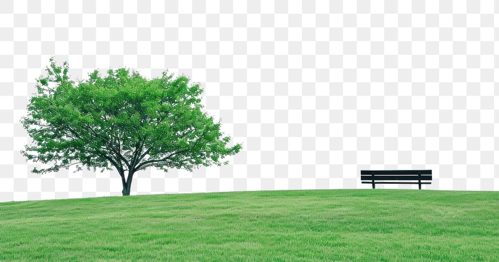 PNG Green park landscape outdoors | Premium PNG - rawpixel