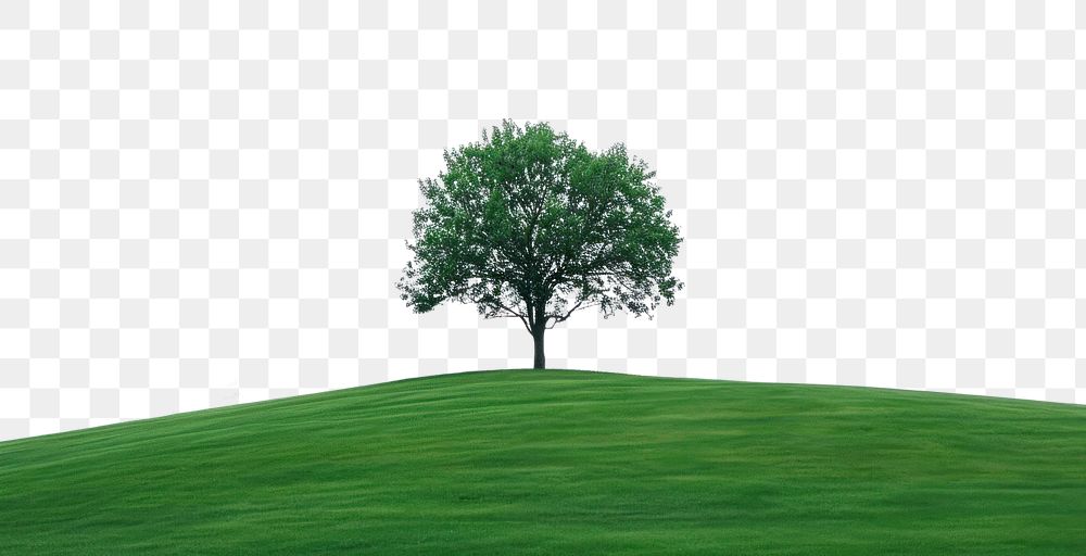 PNG Green park landscape plant | Premium PNG - rawpixel