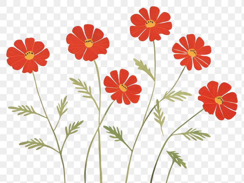 PNG Red daisy bouquet pattern | Premium PNG - rawpixel