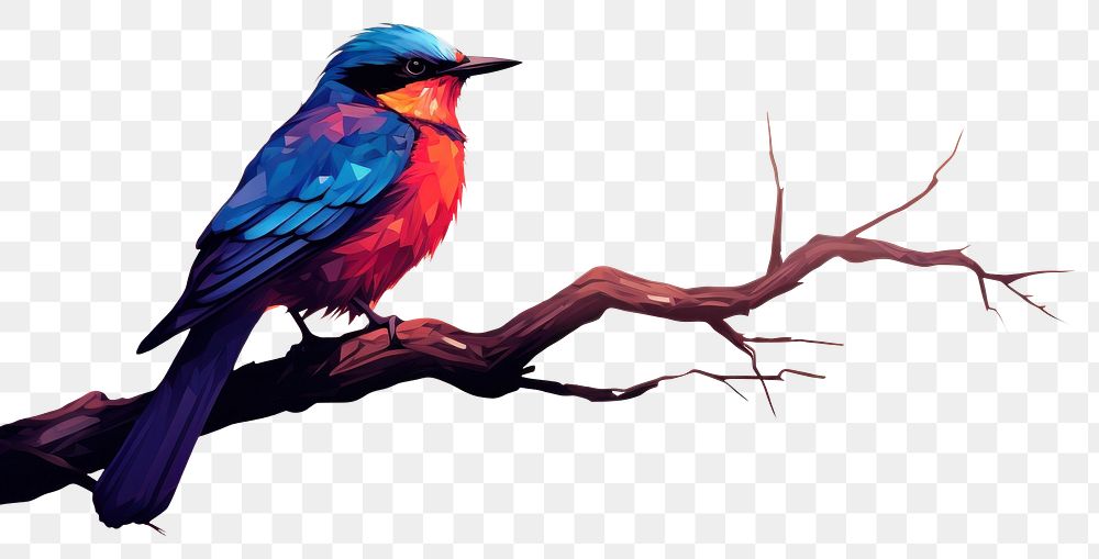 PNG Exotic bird tree branch | Free PNG - rawpixel