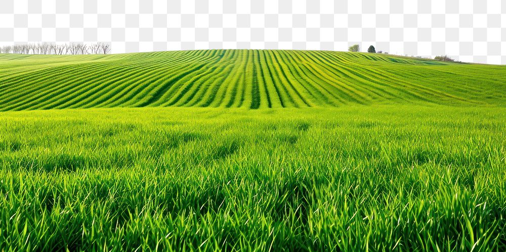 PNG Field agriculture outdoors horizon. | Free PNG - rawpixel