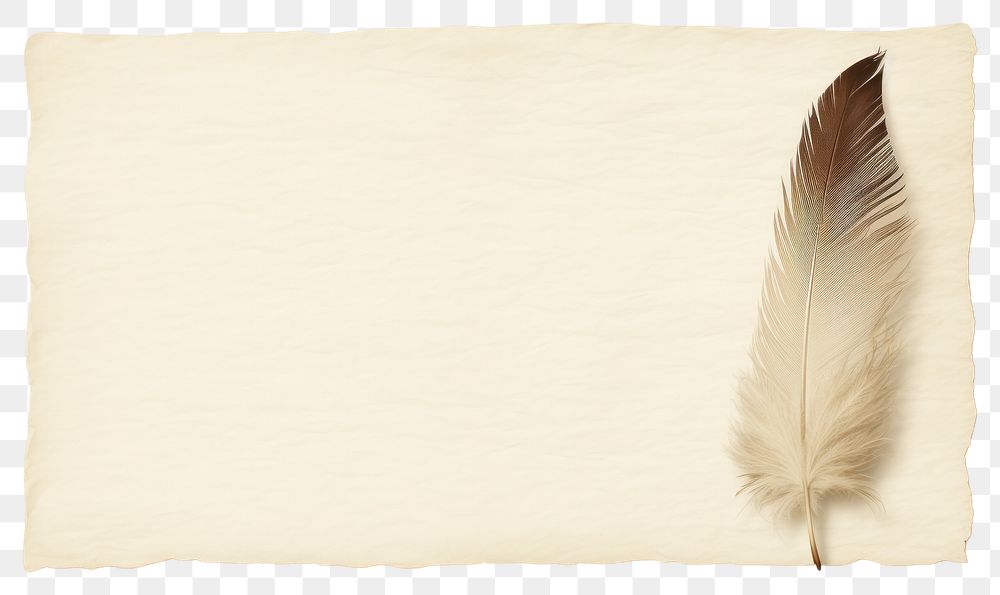 Letter Overlay Images | Free Photos, PNG Stickers, Wallpapers ...