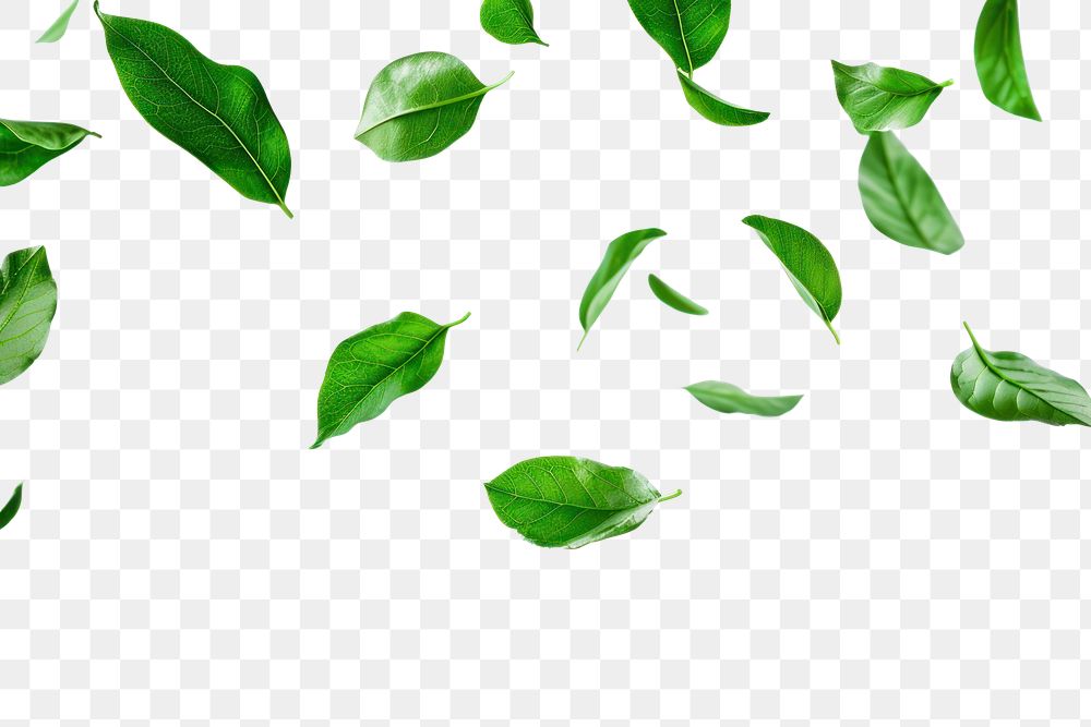 PNG Green leaves falling backgrounds | Premium PNG - rawpixel