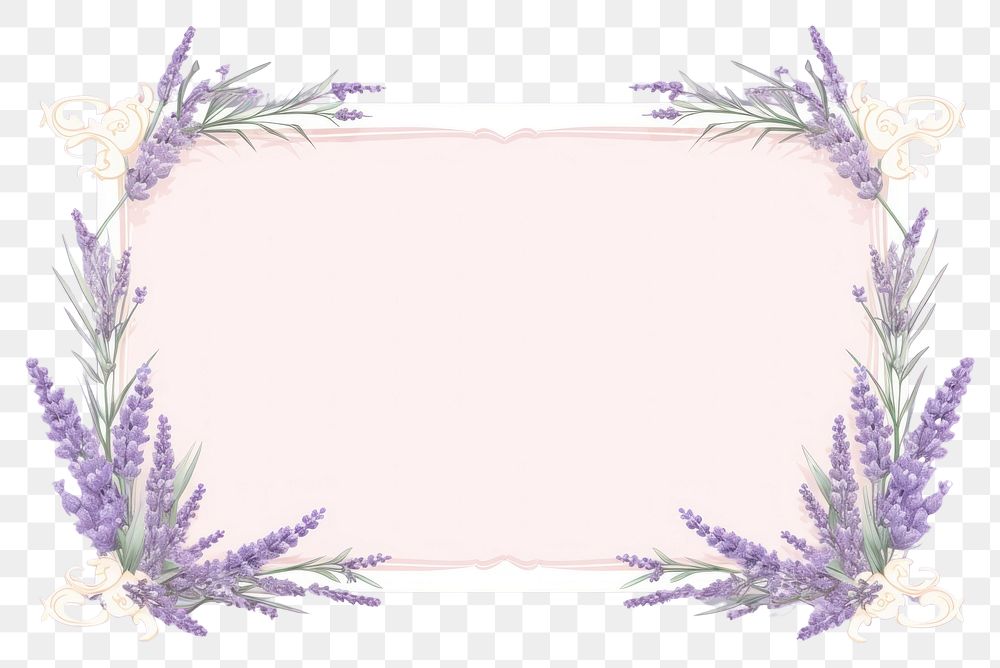 PNG Lavender border frame flower | Premium PNG - rawpixel