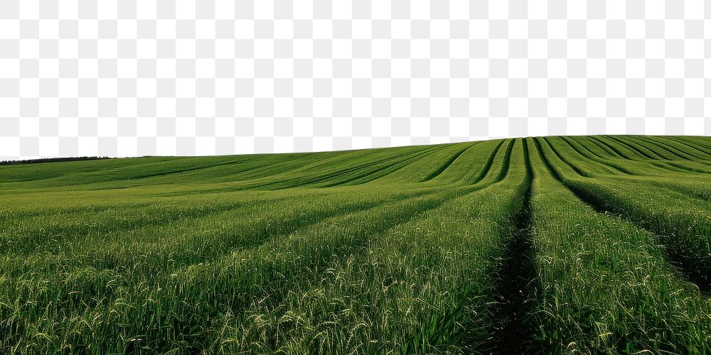 PNG Green field sky outdoors | Free PNG - rawpixel