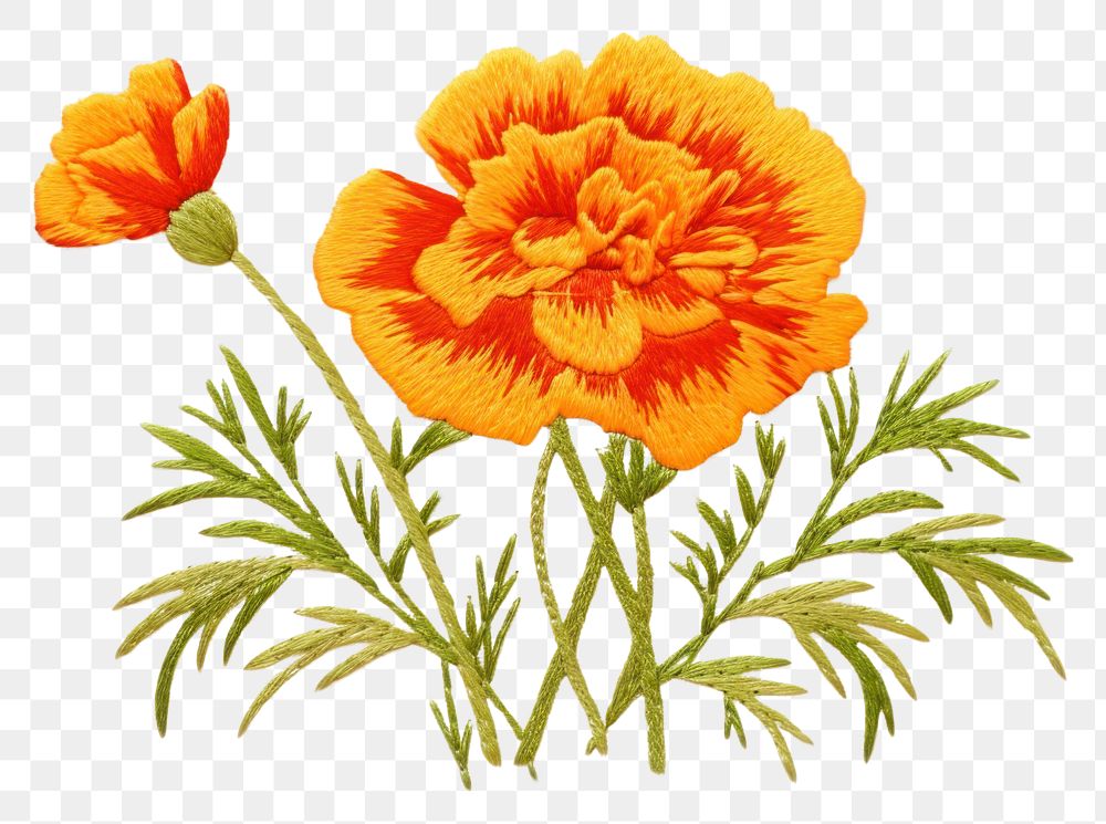 PNG Embroidery marigold pattern flower. | Free PNG - rawpixel