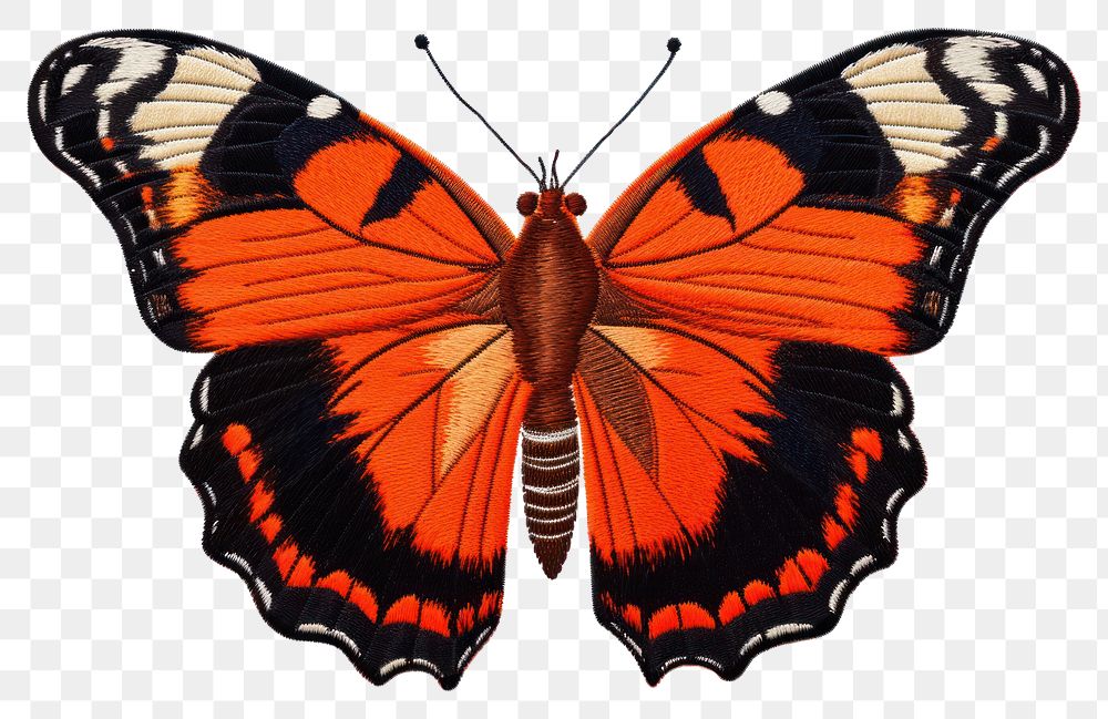 Butterfly Red Admiral Images | Free Photos, PNG Stickers, Wallpapers ...