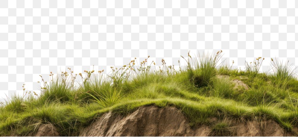 PNG Wild grass hills landscape | Free PNG - rawpixel
