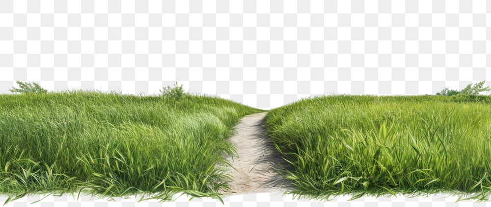 PNG Road grass field landscape | Premium PNG - rawpixel