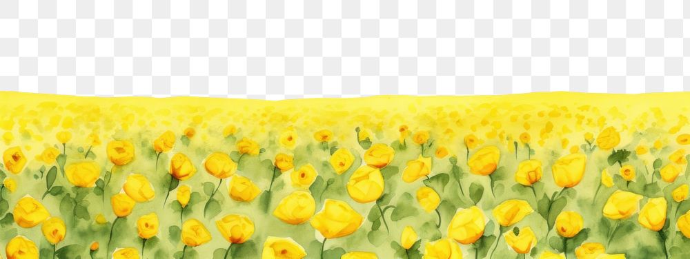 PNG Yellow rose field nature | Premium PNG - rawpixel