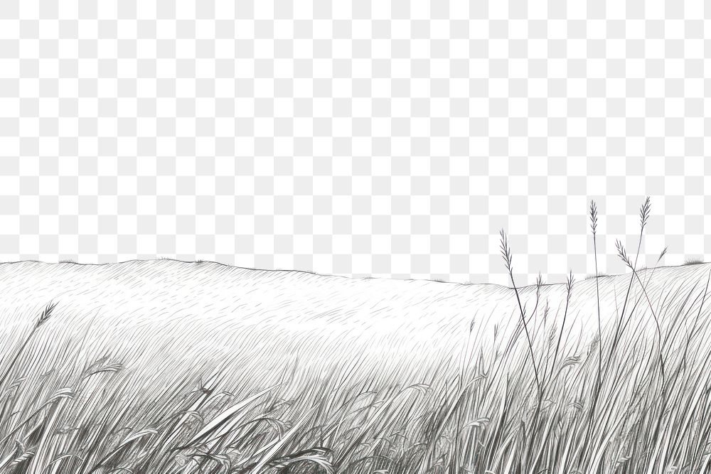 PNG Meadow field border drawing | Free PNG - rawpixel