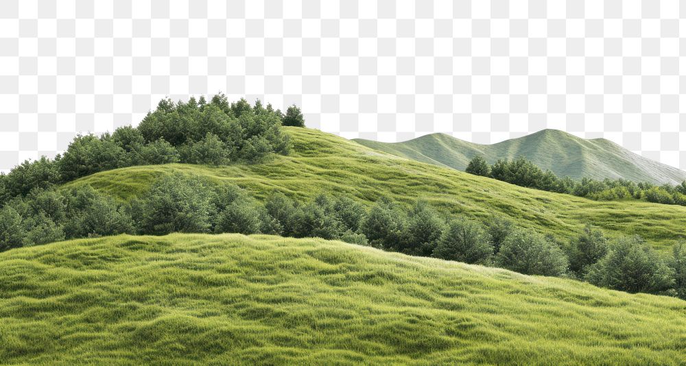 PNG Hill border nature plant | Premium PNG - rawpixel