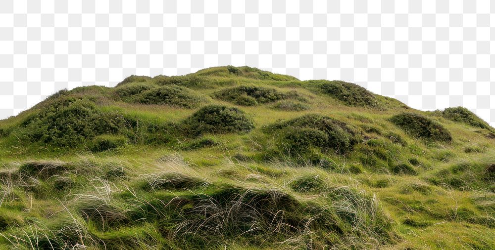 PNG Hill border nature plant | Premium PNG - rawpixel