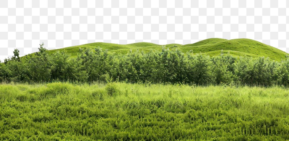 PNG Hill border nature plant | Premium PNG - rawpixel