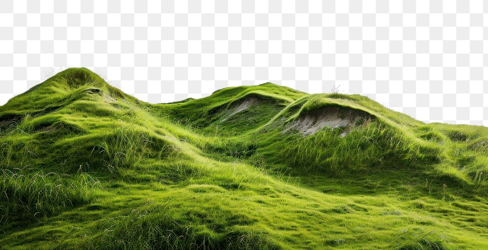 PNG Hill border nature plant | Premium PNG - rawpixel