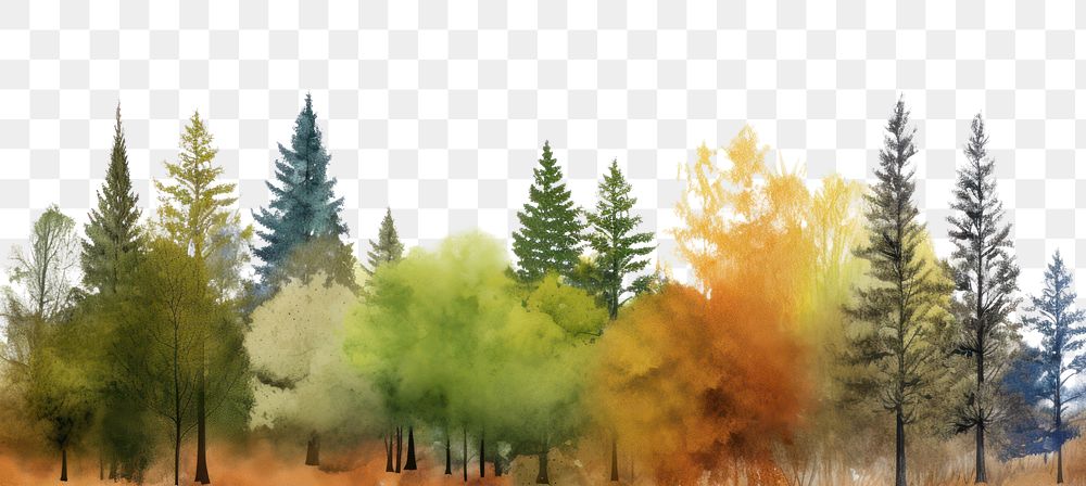 PNG Forest landscapes outdoors woodland | Premium PNG - rawpixel