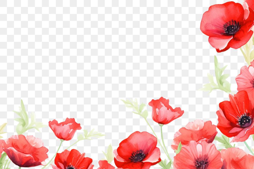 PNG Poppy flowers border frame | Free PNG - rawpixel