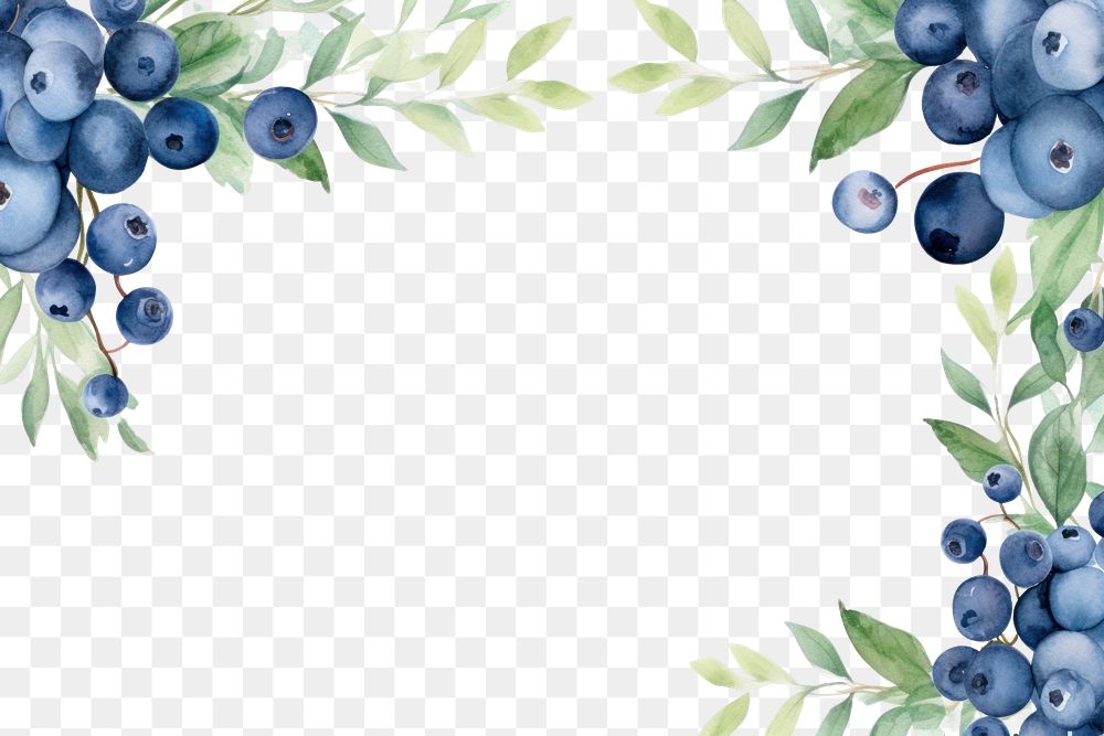 Blueberry Watercolour Images | Free Photos, PNG Stickers, Wallpapers ...