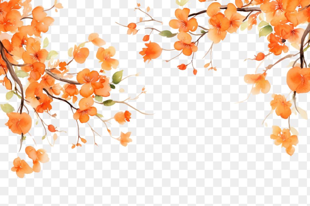 PNG Orange flowers border painting | Free PNG - rawpixel