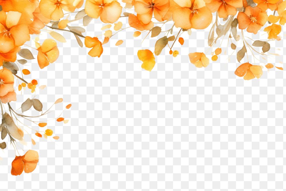 PNG Orange flowers border pattern | Premium PNG - rawpixel