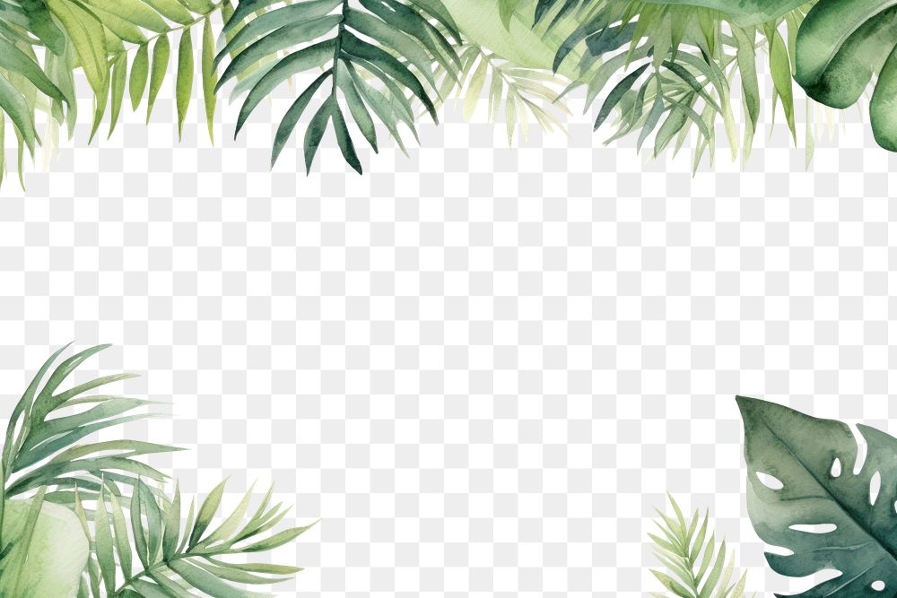 PNG Minimal tropical leaves border | Premium PNG - rawpixel