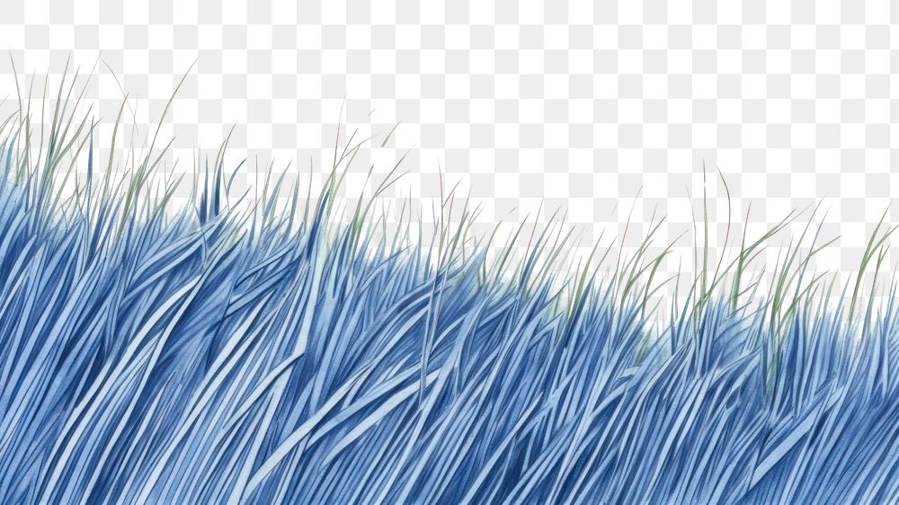 PNG Drawing grass field outdoors | Premium PNG - rawpixel