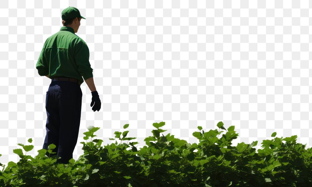 PNG Gardener gardening outdoors nature. | Premium PNG - rawpixel