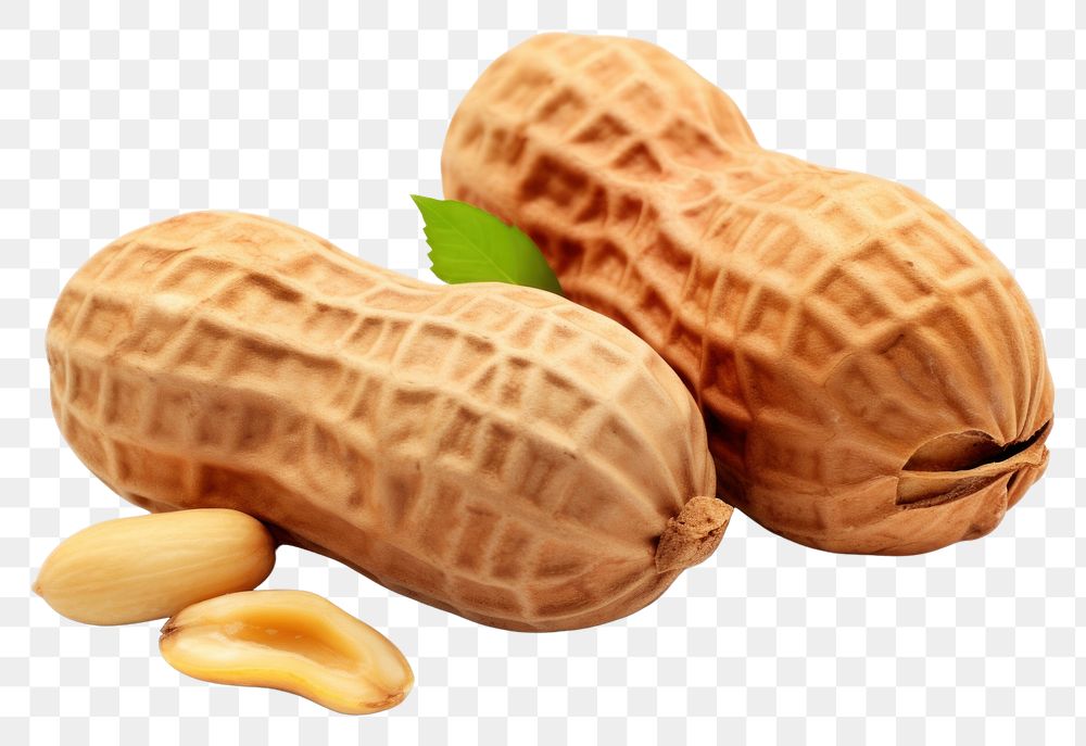 PNG Double peanuts plant food | Free PNG - rawpixel
