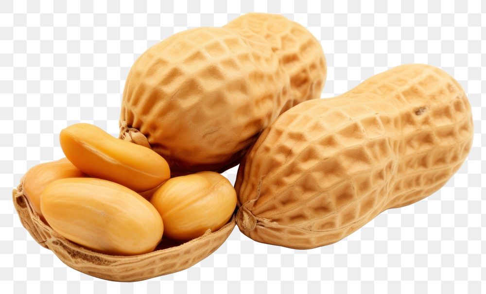 PNG Double peanuts plant food | Free PNG - rawpixel