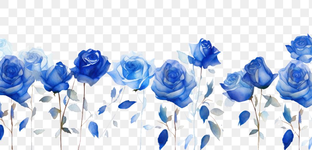 PNG Blue roses border flower | Free PNG - rawpixel