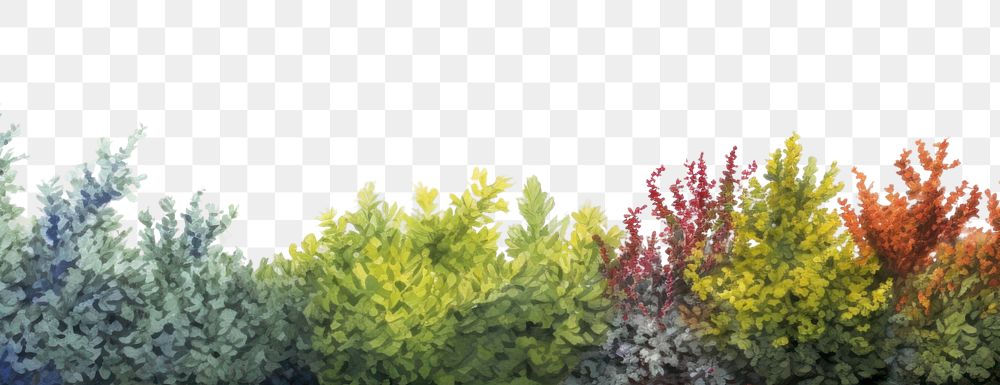 PNG Bush border outdoors nature | Premium PNG - rawpixel