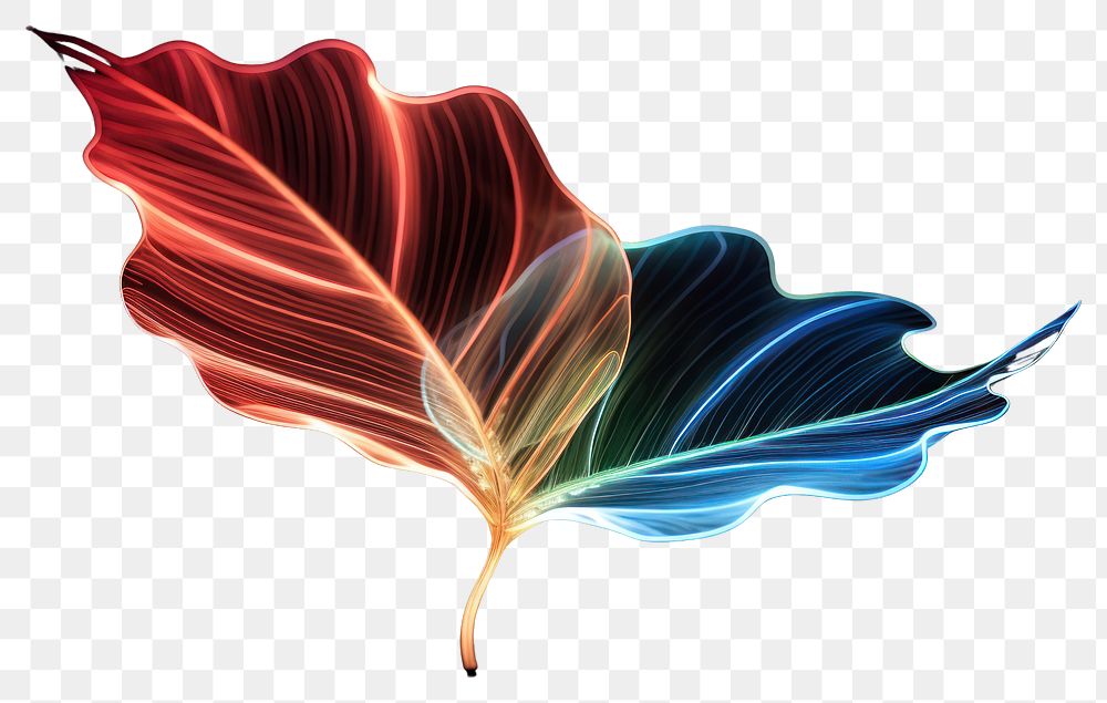 PNG Leaf light leaf pattern. | Free PNG - rawpixel