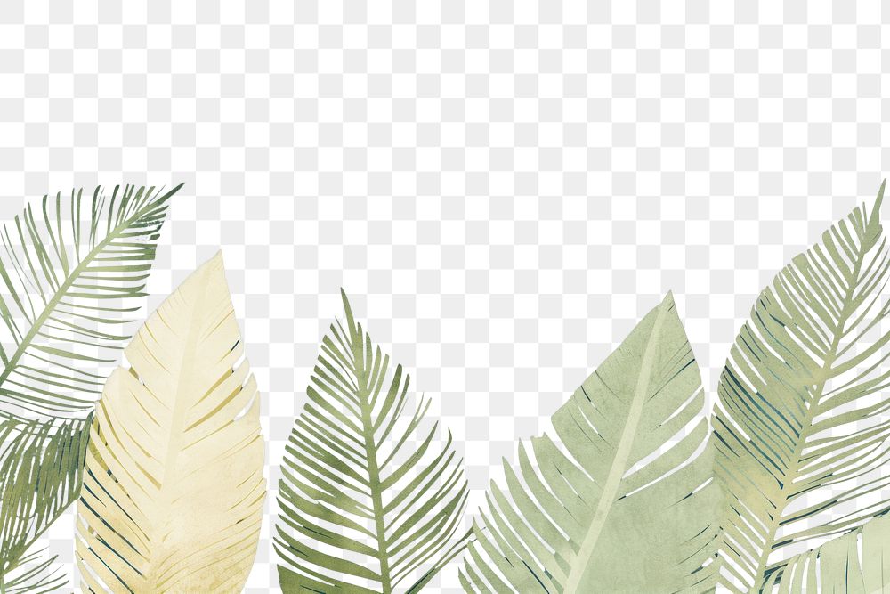 PNG Simple abstract leaf patterns | Free PNG - rawpixel
