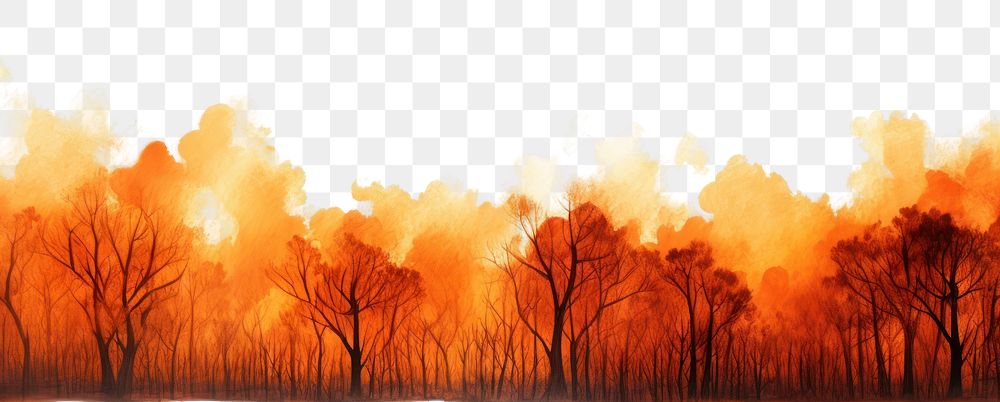 PNG Fire forest landscape outdoors | Free PNG - rawpixel