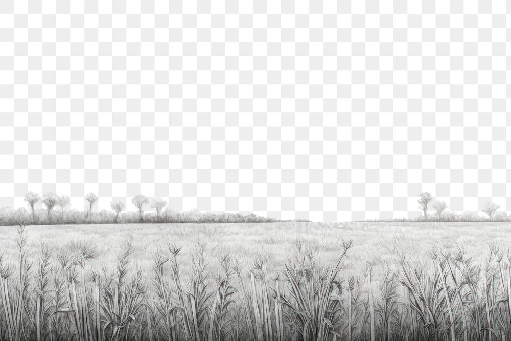 PNG Grassland field outdoors drawing. | Premium PNG - rawpixel