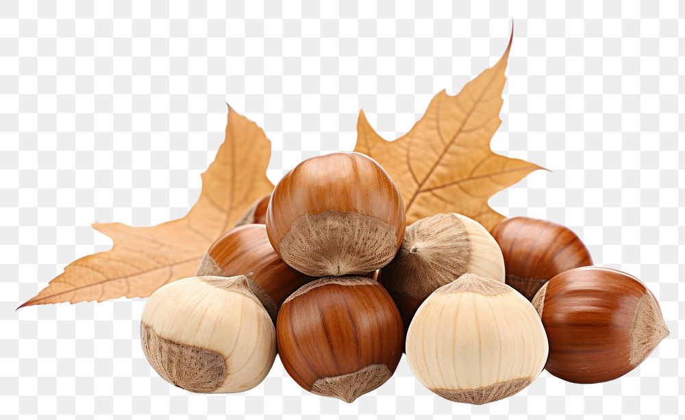 PNG Hazelnuts vegetable plant food. | Premium PNG - rawpixel