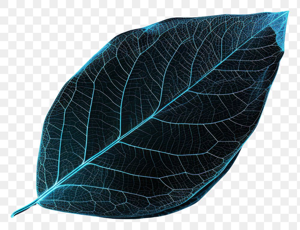PNG Glowing wireframe leaf nature | Free PNG - rawpixel