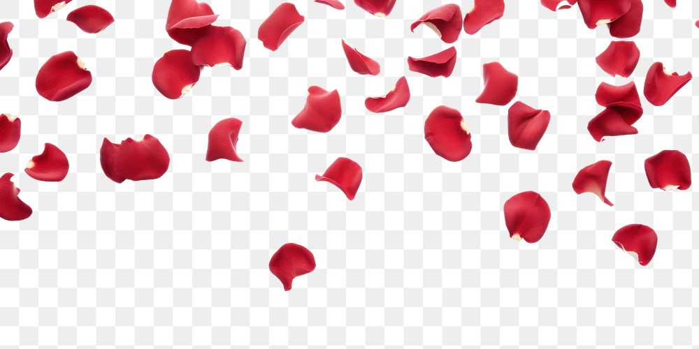 PNG Flying red rose petals | Premium PNG - rawpixel