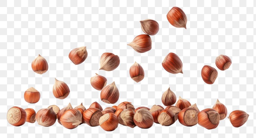 Hazelnut PNG Images | Free Photos, PNG Stickers, Wallpapers ...