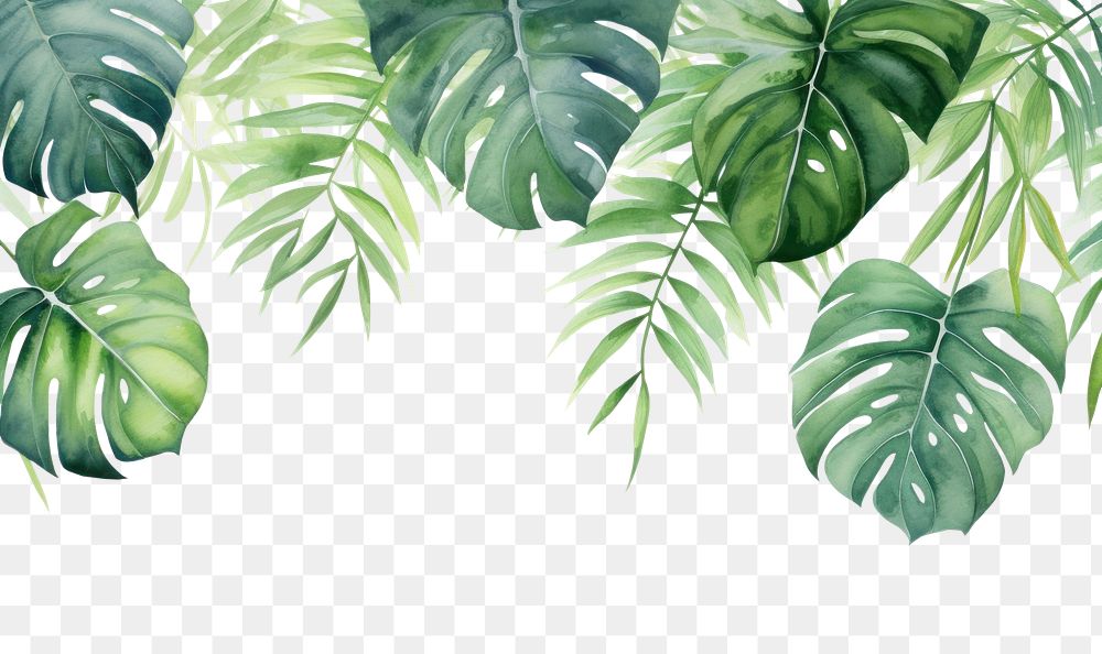 PNG Tropical leaves nature plant | Premium PNG - rawpixel