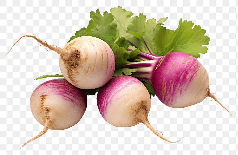 Turnip PNG Images | Free Photos, PNG Stickers, Wallpapers & Backgrounds ...