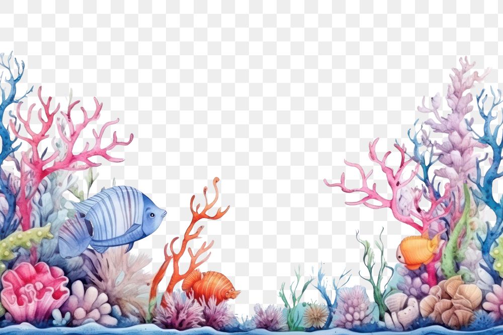 PNG Sea life outdoors aquarium | Premium PNG - rawpixel