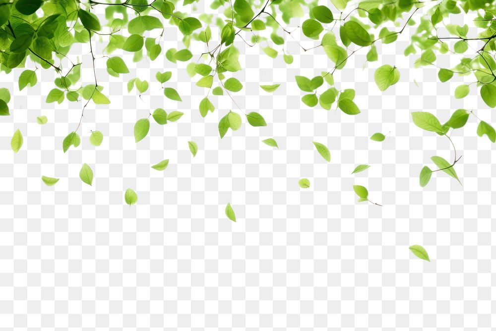 PNG Falling green leaves backgrounds | Premium PNG - rawpixel