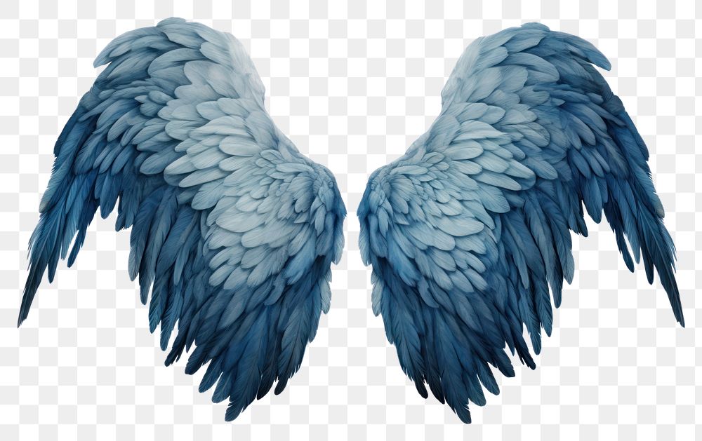 PNG Angel wings blue bird | Premium PNG - rawpixel