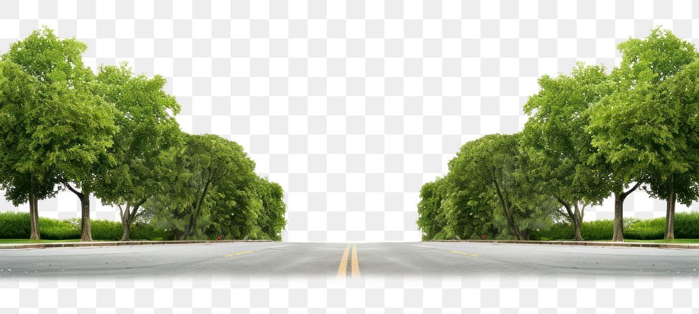 PNG Park and road border | Free PNG - rawpixel